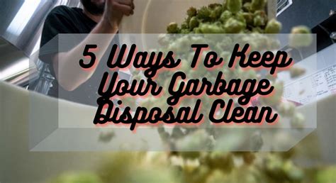 How to Keep Your Garbage Disposal Clean | November Sunflower