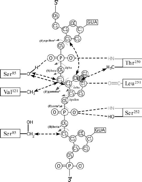 Schematical Representation Of Interactions Between Mhhai And The South