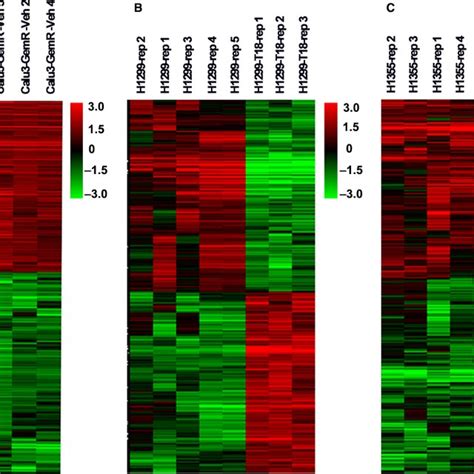 Cluster analysis of differentially expressed genes based on gene... | Download Scientific Diagram