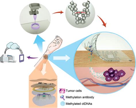 Schematic Design Of The Wearable Self‐healing Electronic Device Download Scientific Diagram