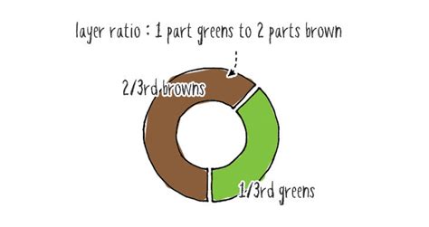 How To Layer A Compost Bin For Optimum Composting Success