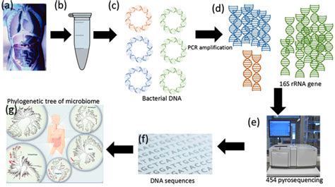 Sequencing The Microbiome Teach The Microbiome