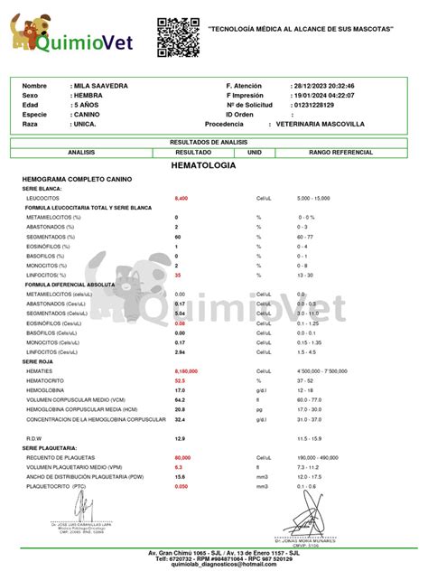Mila Saavedra Hemograma Canino Pdf Sangre Patologia Clinica