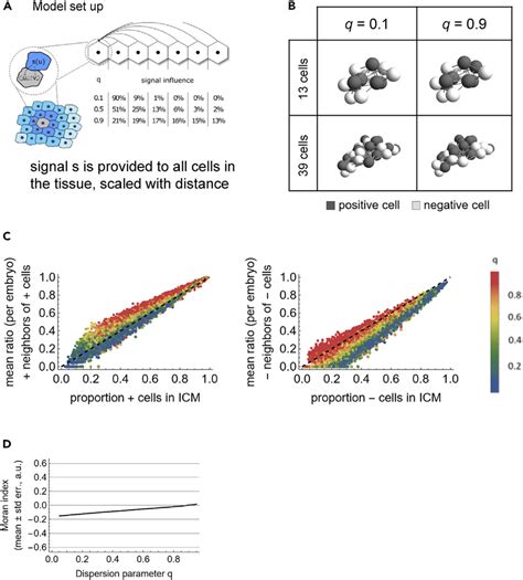 Distance Based Neighbor Signaling Model Setup And Simulation Results