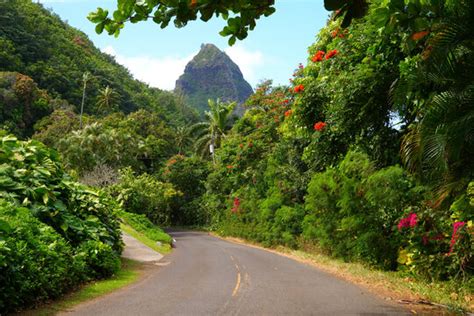 Kauai Hawaii Roads