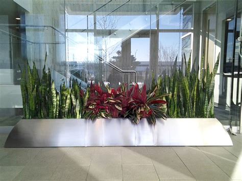 Interior Plant Services Beautiful Indoor Lobby Plants