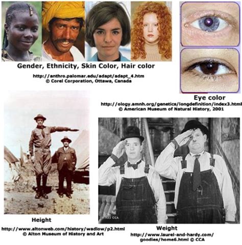 Biometrics Soft Biometrics