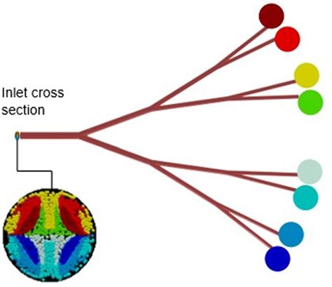 Example Of A Particle Release Map Prm The Cross Section Of The Inlet