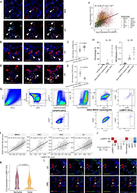 A Pan Cancer Single Cell Panorama Of Human Natural Killer Cells Cell