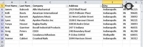 How To Filter Records In An Excel 2010 Table With Autofilter Dummies