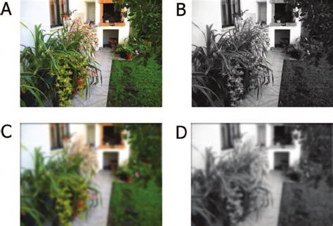 Example Of The Stimulus Color Conditions Used In Experiment 2 A Download Scientific Diagram