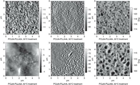 Morphology Of Pcl Plla Diblock Copolymers Films Measured By Afm Download Scientific Diagram