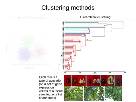 Pics Pathway Informed Classification System For Cancer Analysis Using