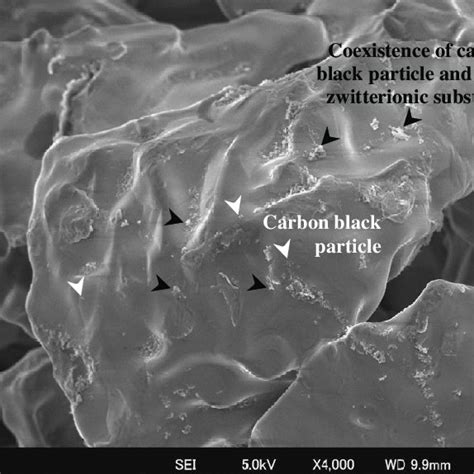 Sem Image Of The Carbon Black Particles Used In This Experiment