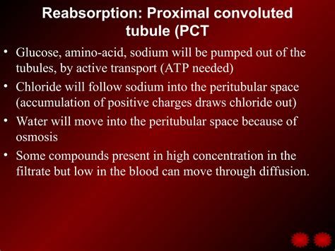 20 Febppt Measurement Of Gfr Renal Physiology Ppt