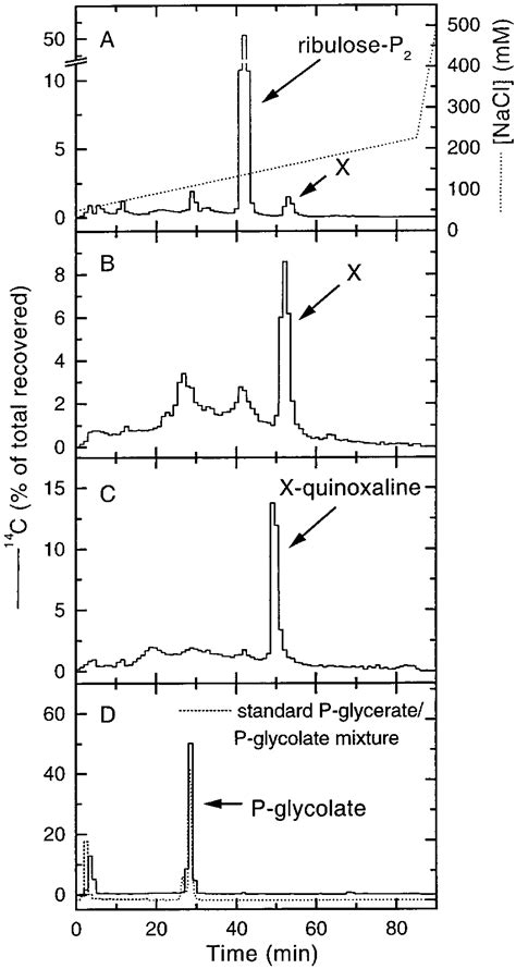 Characterization Of The Tight Binding Impurity In [1 14 C]ribulose P 2