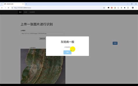 【玉米病害识别】python卷积神经网络算法人工智能深度学习计算机课设项目tensorflow模型训练 Csdn博客