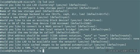 How To Install And Set Up LXD On Fedora Linux Server NixCraft