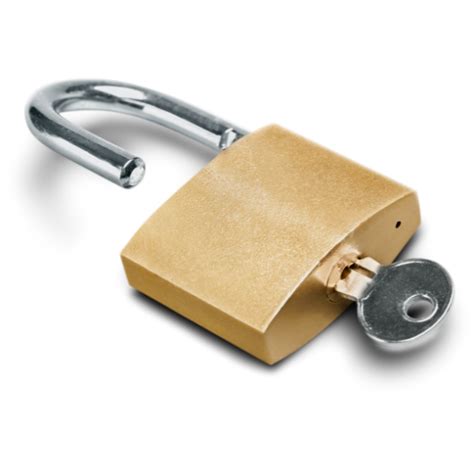 Padlocks Just Handle It