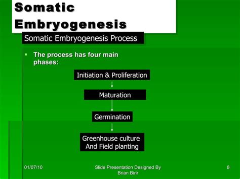 Clonal Propagation Tissueculture Ppt
