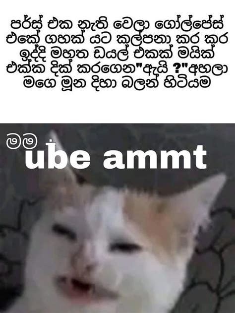 ai 😐 r c3d fam