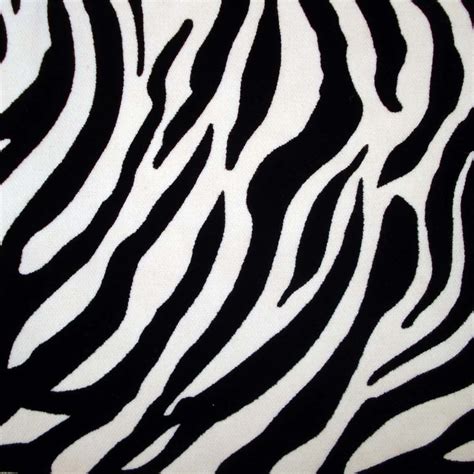 Large Zebra Print Fabric At Joel Bowman Blog