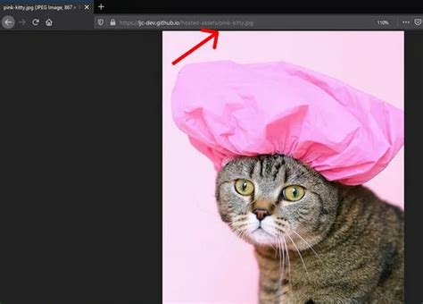 A Quick Hack To Using Local Images On Codepen Dev Community