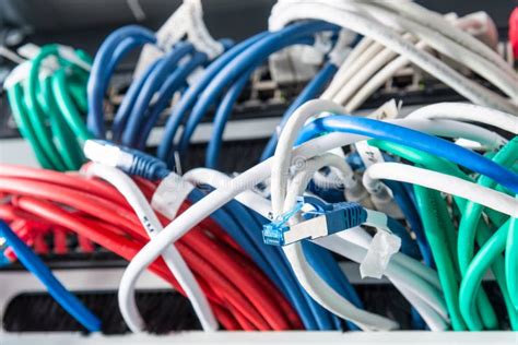 large group of utp cables ethernet cables in rack cabinet lead stock