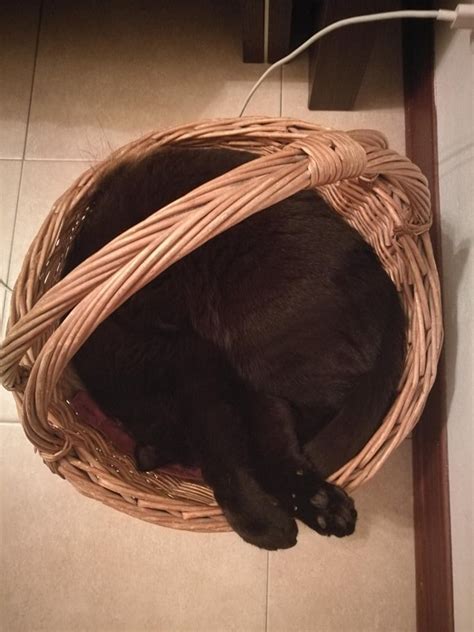 Crc16 Simple Algorithm For C Devcoons