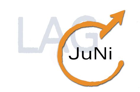 Verein BAG Jungen Arbeit