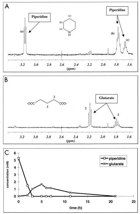 Piperidine Degradation By M Aurum Mo1 Resting Cells 5 G Wet Weight Download Scientific