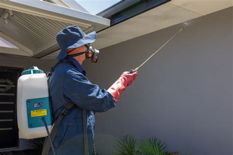 Perths Pest Management Experts Sure Pest Control Perth
