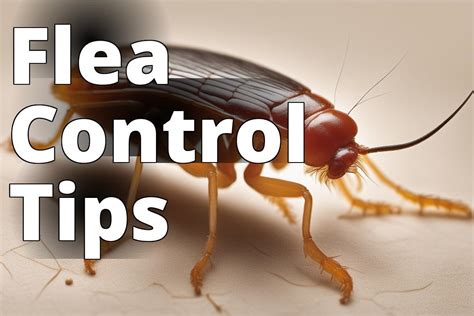 Mastering Flea Control Your Ultimate Guide
