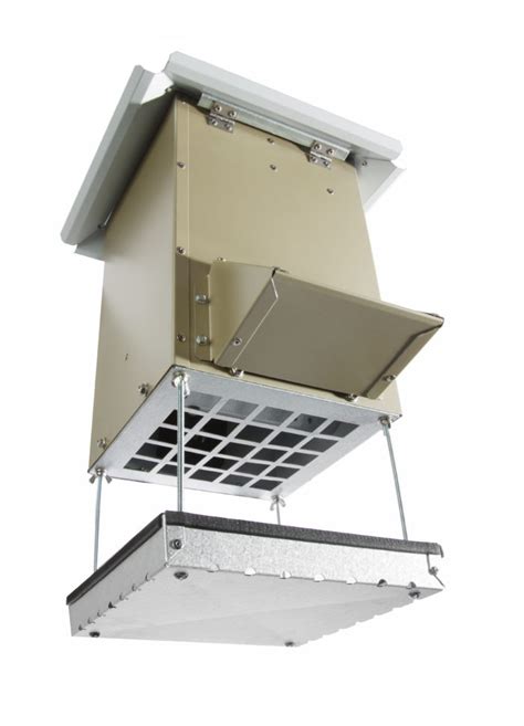 Automatic Bird Feeder With Timer Bird Bistro Sweeney Feeders