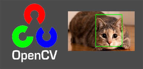 Guide To Make Custom Haar Cascade Xml File For Object Detection With Opencv By Vipul Dilip