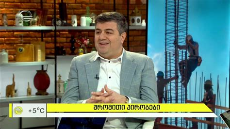 ორსულ და მეძუძურ დედათა სამუშაო პირობები Youtube