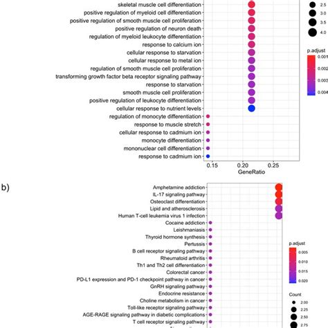Visualization Of The Top Biological Processes And Pathways With An