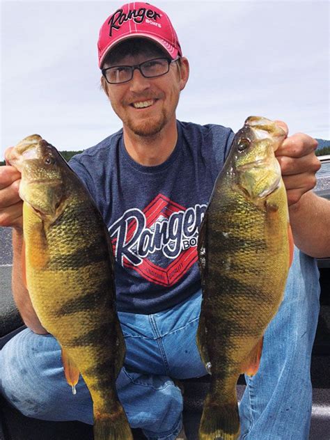 5 Fantastic Panfish Float Rigs Artofit