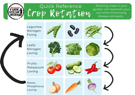 Crop Rotation Chart Vegetable Garden Planning Made Easy