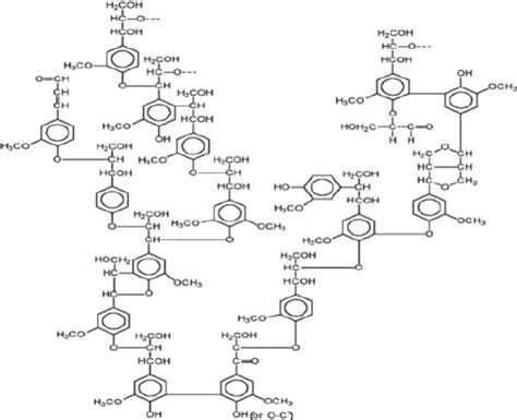 One Hypothetical Structure Of Lignin Download Scientific Diagram