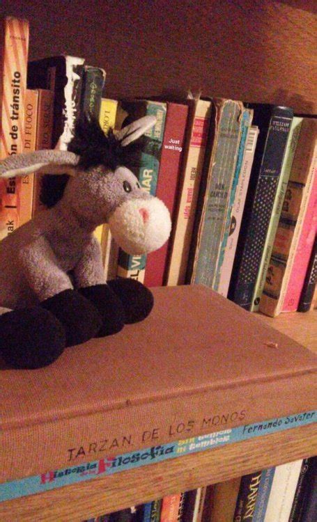 Aplicada Y Pacientemente Mensajes De Mi Viejo Est Tumbex