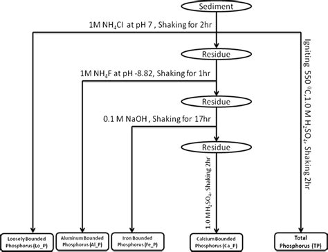 Flow Diagram Of Sequential Extraction Procedure Followed For Analysis Download Scientific