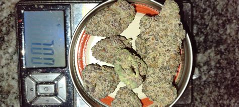 Strains Limited Hectane Rtheocs