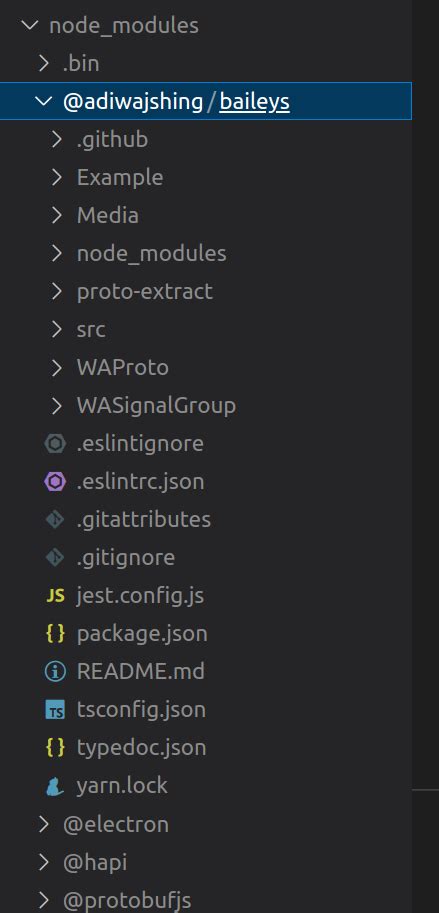 NPM Issue WhiskeySockets Baileys GitHub