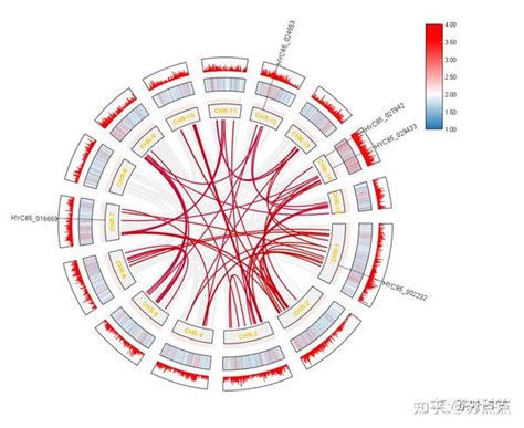 物种内的共线性分析 知乎