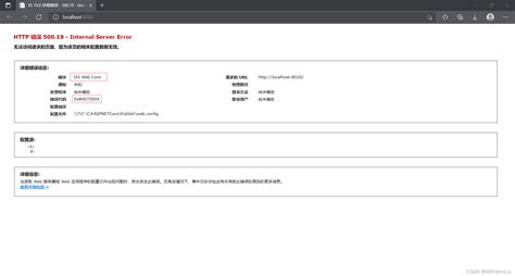 Iis发布net Core项目出现错误50019 Internal Server Error 错误代码：0x8007000d