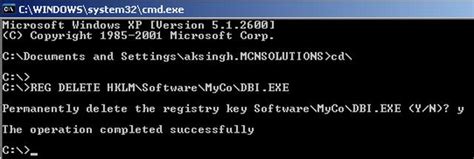 reg delete command in windows server 2008