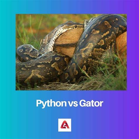 Python Vs Gator Difference And Comparison