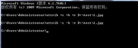 九大隐藏文件或者文件夹的方法详细解析和步骤 哔哩哔哩