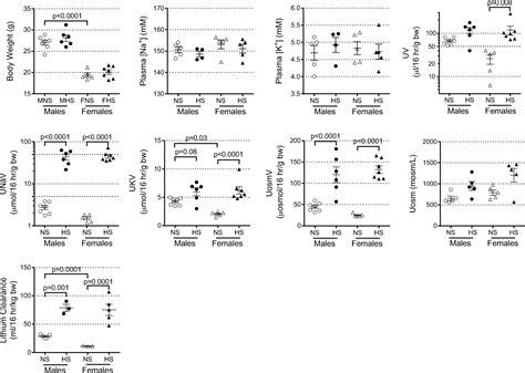 Sex Specific Adaptations To High Salt Diet Preserve Electrolyte